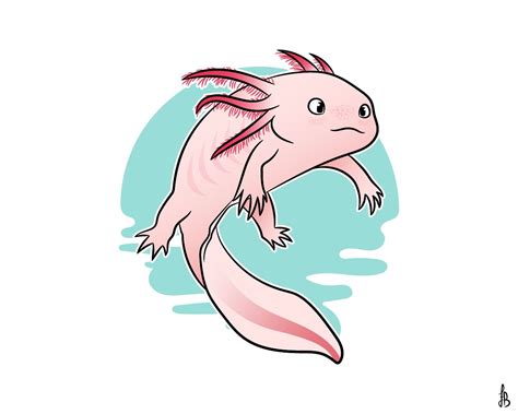 Axolotl Draw By Vetor Book Axolotl Drawings Illustration