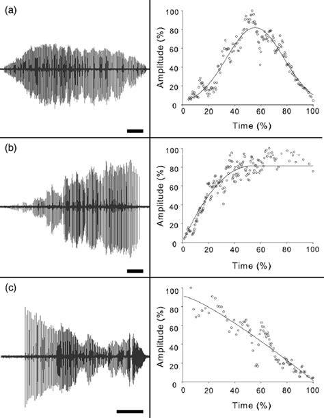 Basic Amplitude Envelope Shapes Of Female Ips Pini Chirps Calculated By
