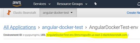 Deploying An Angular App In A Single Docker Image To Aws Elastic