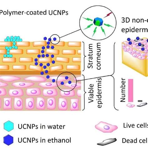 A Brief Outline Of Different Nanomaterials Synthesis Methods Download Scientific Diagram