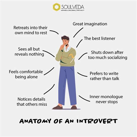 Anatomy Of An Introvert