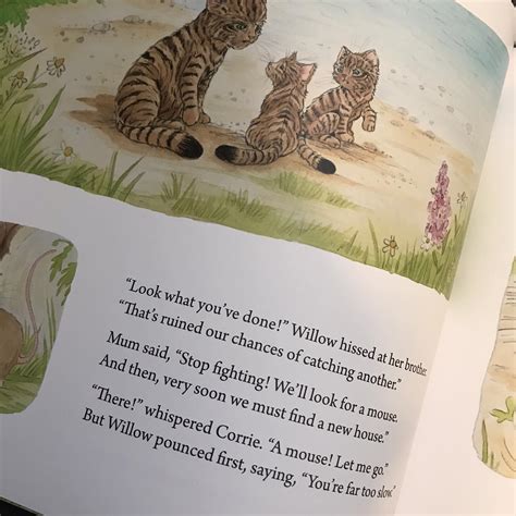 Willow The Wildcat A Whimsical The Otters Couch Brora