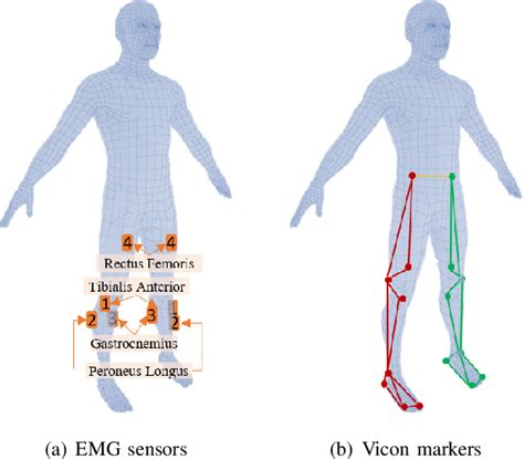 figure 1 from emg based abnormal gait detection and recognition