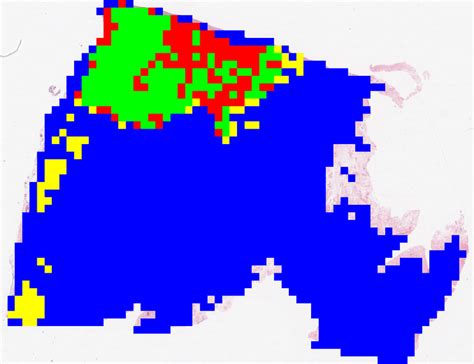 Detailed Analysis Of Image Patch Classification By Cnn Model The Wsi