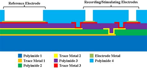 Schematic Of The Final Electrode Array Cross Section Both The Download Scientific Diagram