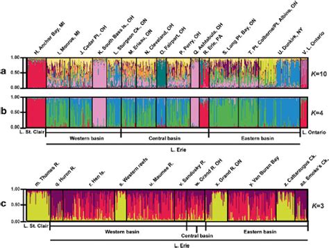 8 Estimated Population Structure From Bayesian Structure V2 3 3
