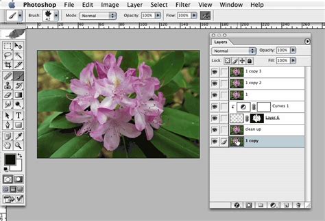 Solved Merge Layers Issue Adobe Community 13698795