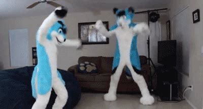 Fursuit Reaction Gifs Tumblr Com Tumbex