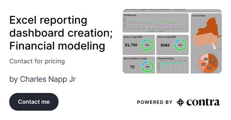 Excel Reporting Dashboard Creation Financial Modeling By Charles Napp Jr