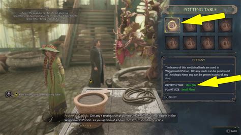 Herbology Class Walkthrough Hogwarts Legacy