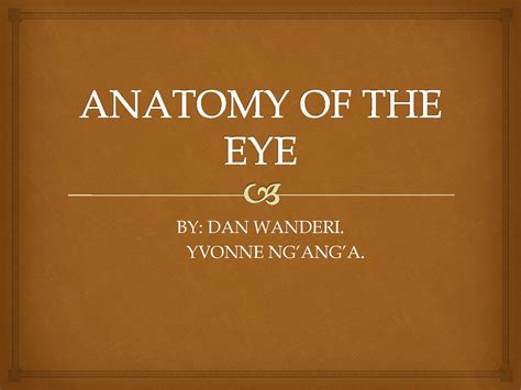 Ppt External Anatomy Of The Eye Powerpoint Presentation Free