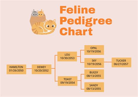 Blank Pedigree Chart In Illustrator Pdf Download