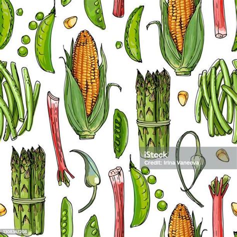 검은 색 배경에 그려진 야채 라인의 패턴 스커치 가을 수확 신선한 음식 0명에 대한 스톡 벡터 아트 및 기타 이미지 0명 가을 건강한 식생활 Istock