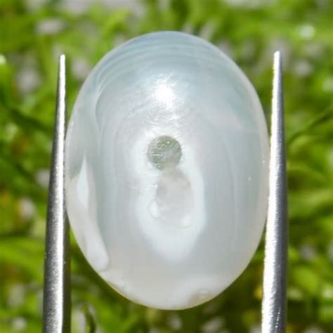 Mustika Bayi Succubus Putih Pusaka Dunia Mustika Bayi Succubus Putih Pusaka Dunia