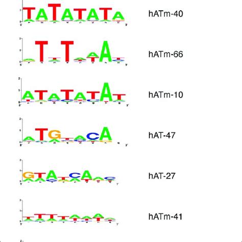 Predicted Target Site Preference Of Transposable Elements A