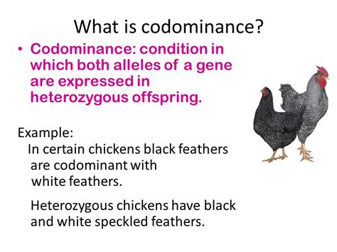 Codominance Definition