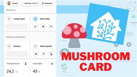 Faire un tableau de bord minimaliste sous Home Assistant grâce à la