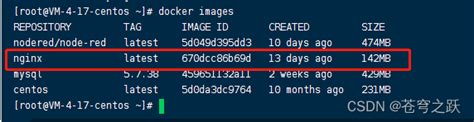 Docker 安装 Nginx 发布vue项目docker Nginx Vue Csdn博客