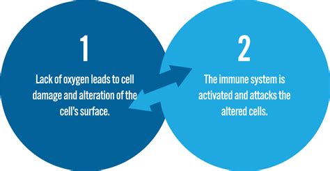 Ischemia Reperfusion Injury Icoat Medical