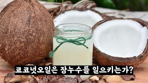 내가 코코넛 오일을 먹지 않는 이유 장누수 Youtube