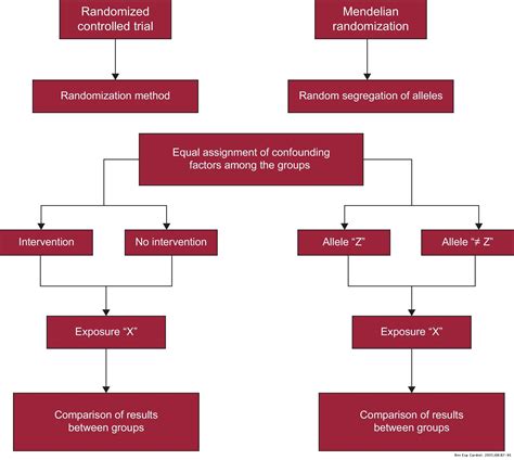 Mendelian Randomization Present And Future Of Epidemiological Studies