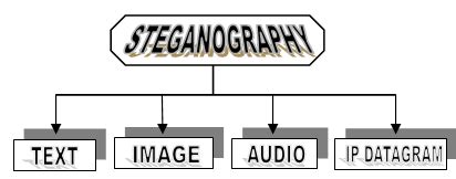 Different Types Of Steganography Download Scientific Diagram