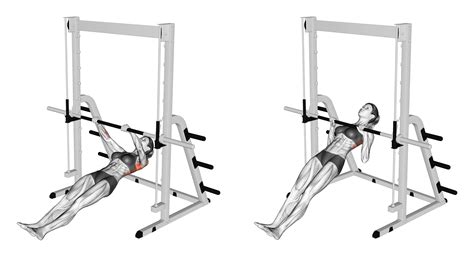 3 Highly Effective Inverted Row Alternatives With Pictures Inspire US
