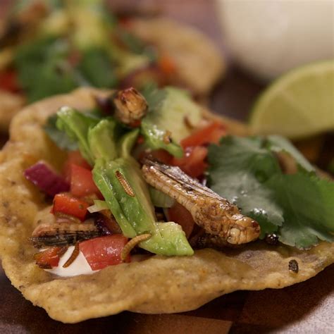 Grasshopper Tacos In Cricket Shells Tastemade