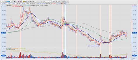 엘앤에프 코스피 이전 상장 예심통과 향후 움직임은