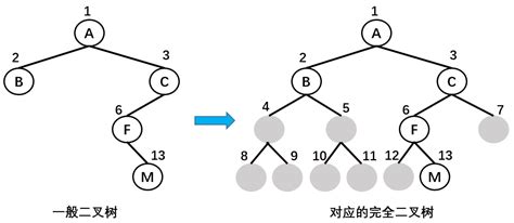 js data structures and algorithms assets doc 11 javascript数据结构与算法（十一）树
