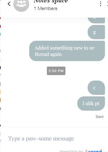 Typing Chat Bug Solution Petfect