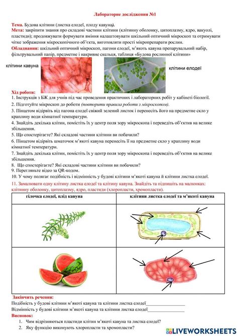 Будова клітини Activity Live Worksheets