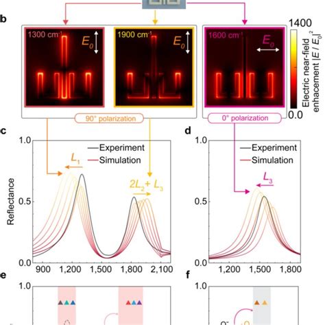 Polarization Multiplexed Multi Resonant Broadband Plasmonic