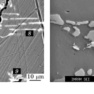 SEM Micrographs For Microstructure Of Parent Alloys Al Mg 0 6Sialloy Download Scientific