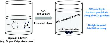 Selective Lignin Fractionation Using CO Expanded Methyltetrahydrofuran MTHF Green