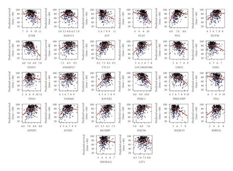 A The Time Dependent Roc Curve Of The Simplified Twice Random