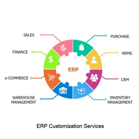 Erp Customization Services Dnstech