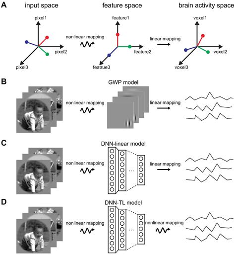 Figure 1 From A Visual Encoding Model Based On Deep Neural Networks And