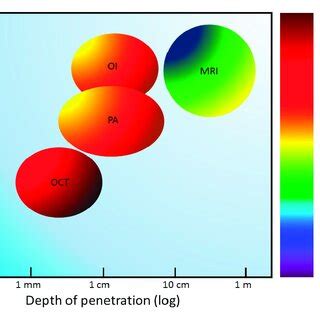 Schematic Representation Of The Spatial Resolution Depth Of Download Scientific Diagram