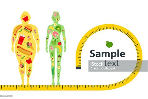 체중 감량 개념 식이 요법과 피트니스 전후 지방과 얇은 여자 건강한 라이프 스타일 건강한 식단과 일상 다이어트 콘텐츠 템플릿을 위한 빈 공간입니다 가냘픈에 대한 스톡 벡터