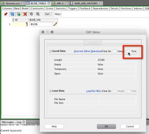 Viewing BLOBs In SQL Developer As Text