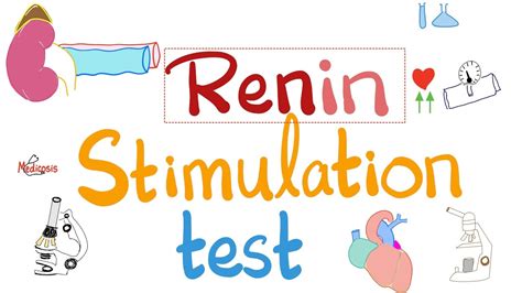 Renin Stimulation Test For Hyperaldosteronism Primary Conn Vs Secondary Physiology Labs