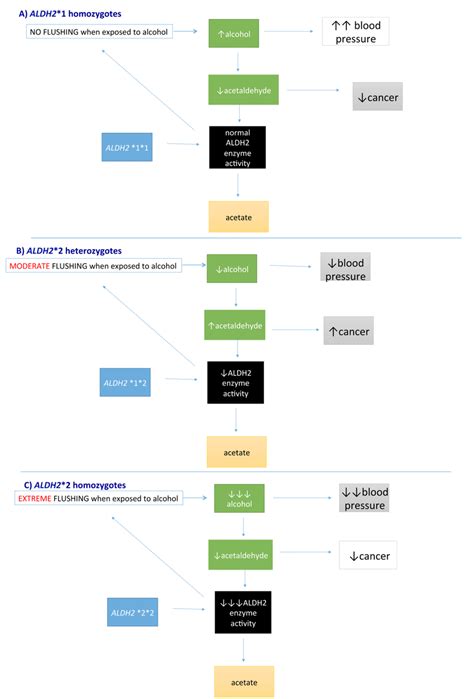 Mendelian Randomization Of Biomarkers On The Same Pathway Download