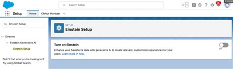 Ultimate Salesforce Prompt Builder Guide Apex Hours