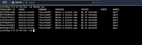 Docker Stop Command A Complete Tutorialdefnitionsyntaxexamples