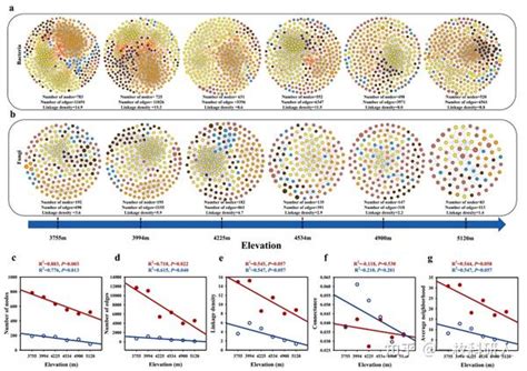 科研速递sbb 共现网络复杂性在维持土壤微生物多样与生态系统多功能性关系方面的重要性 知乎