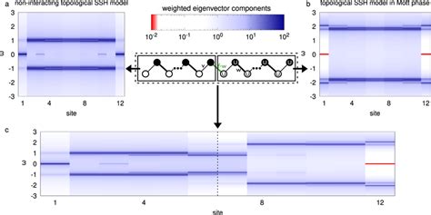 zero pole annihilation in an ssh u finite chain a exact diagonalization