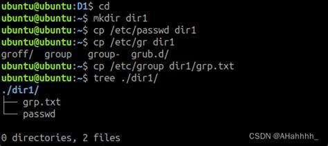 C高级Day 作业 CSDN博客