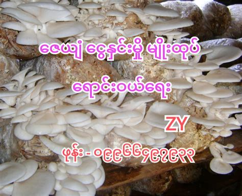 အာရောဂျံ အာရောဂျံ အထွေထွေရောဂါကုဆေးခန်း