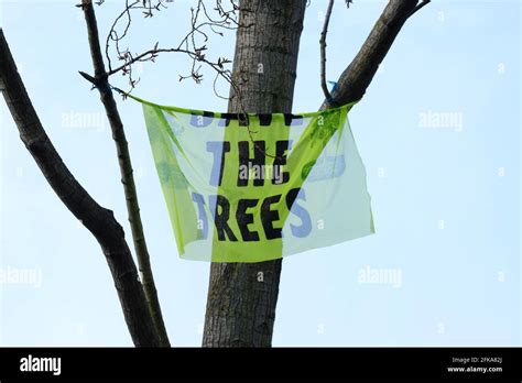 A Banner Stating Save The Trees Hangs On A Black Poplar Tree